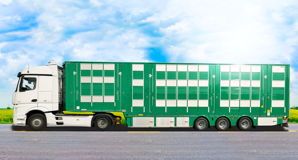 Livestock Transport Vehicles | Carrozzeria Pezzaioli