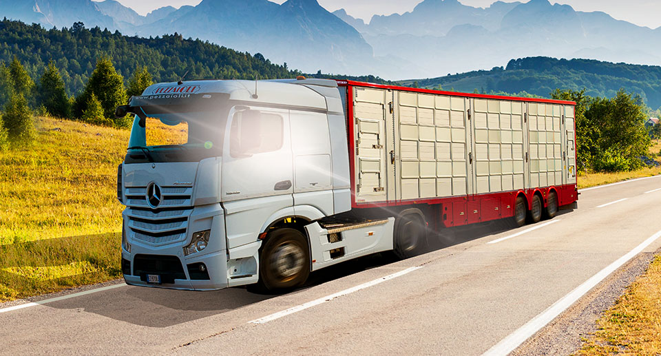 Swan Neck Semi Trailers for Livestock Transport